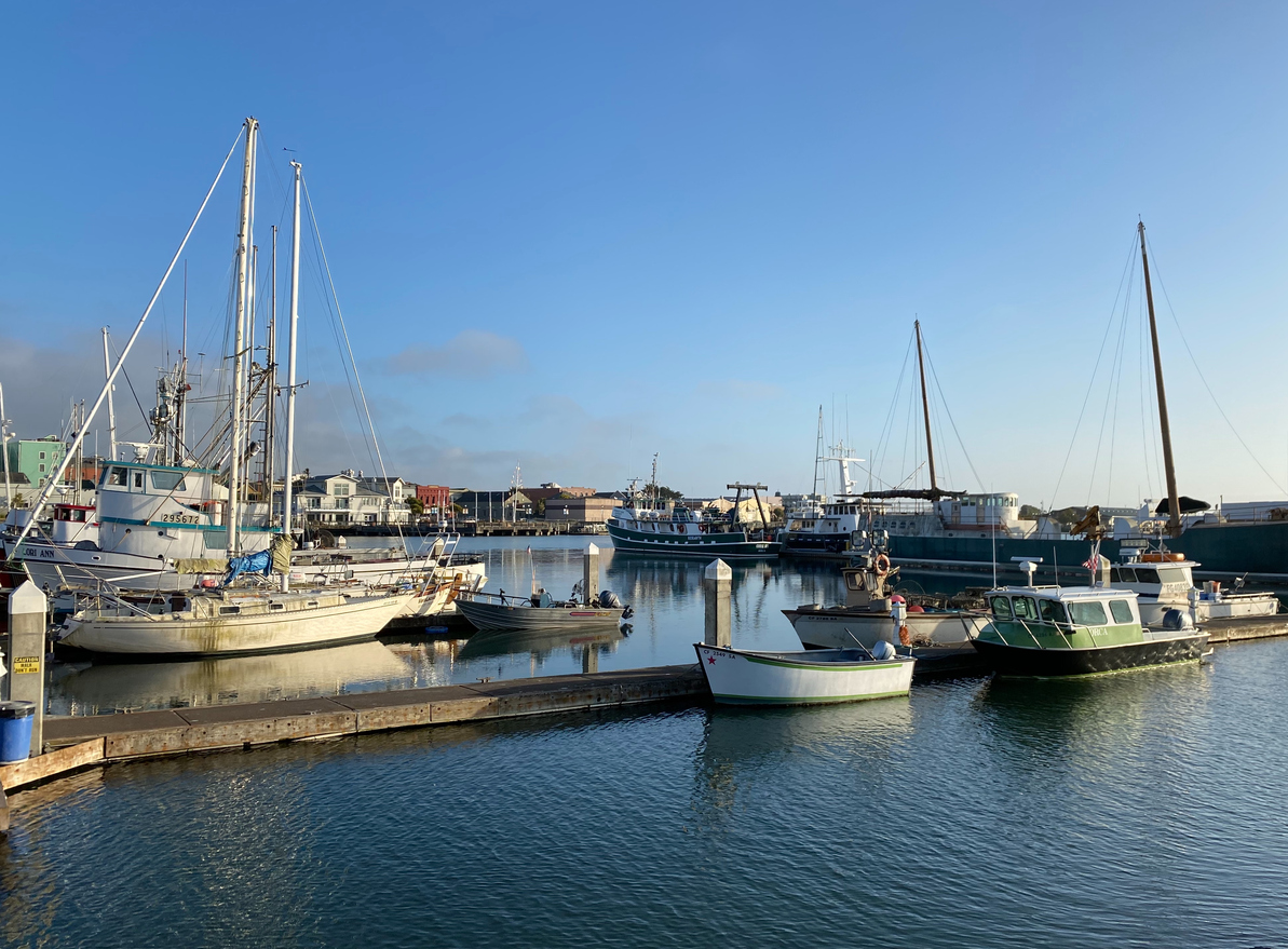 Financial Advisors in Eureka, CA | Kingsview Partners